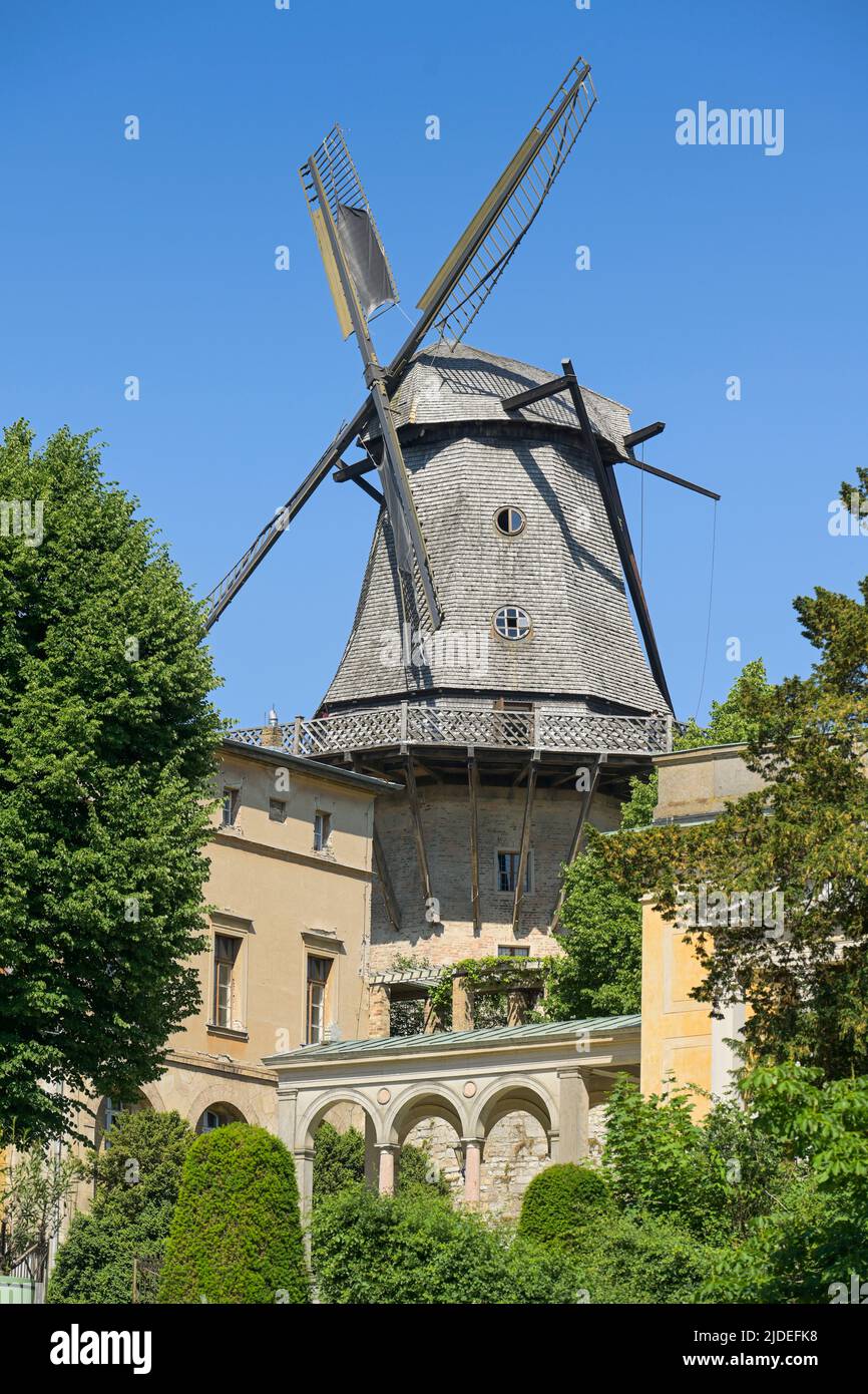 Historische muhle potsdam hi-res stock photography and images - Alamy