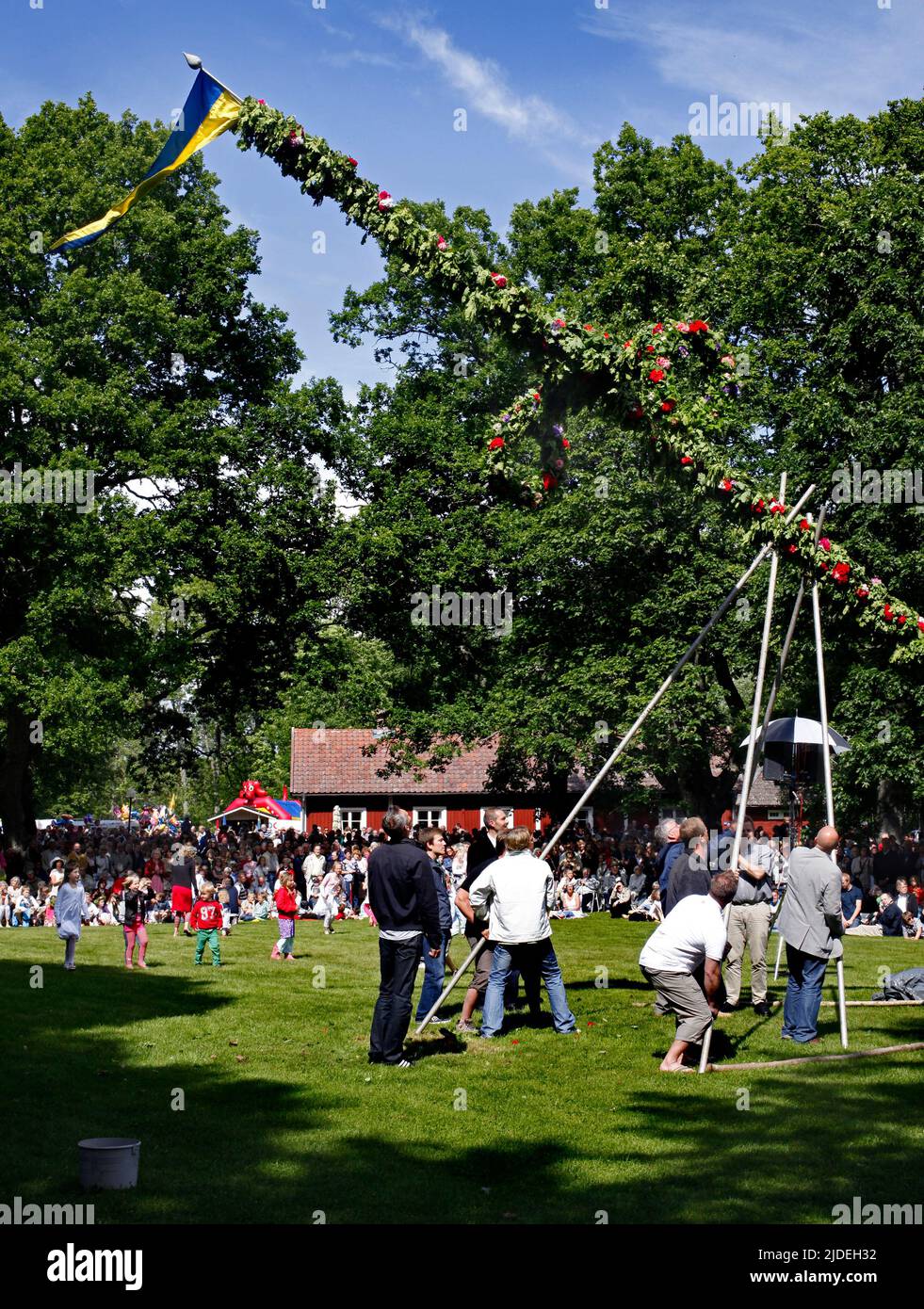 Raising and dancing around a maypole during a midsummer celebration in ...
