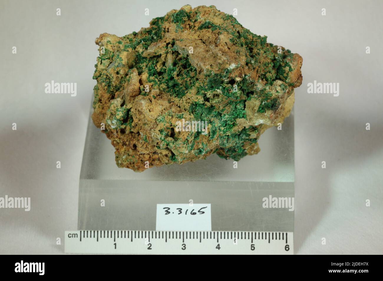 Conichalcite. minerals. North America; USA; Utah; Juab County; Tintic ...