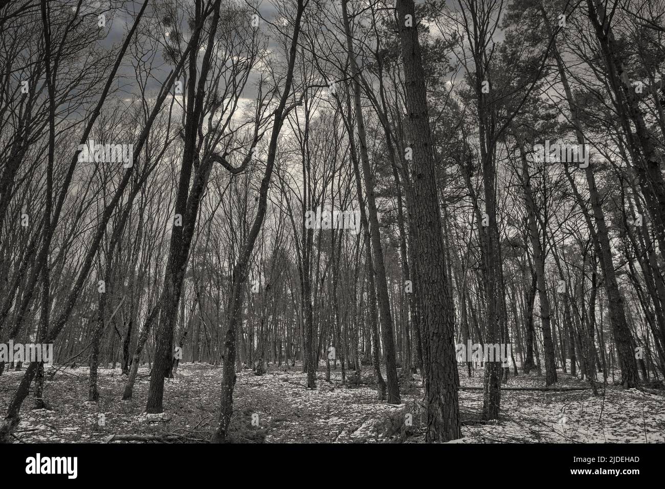 Gloomy landscape hi-res stock photography and images - Alamy