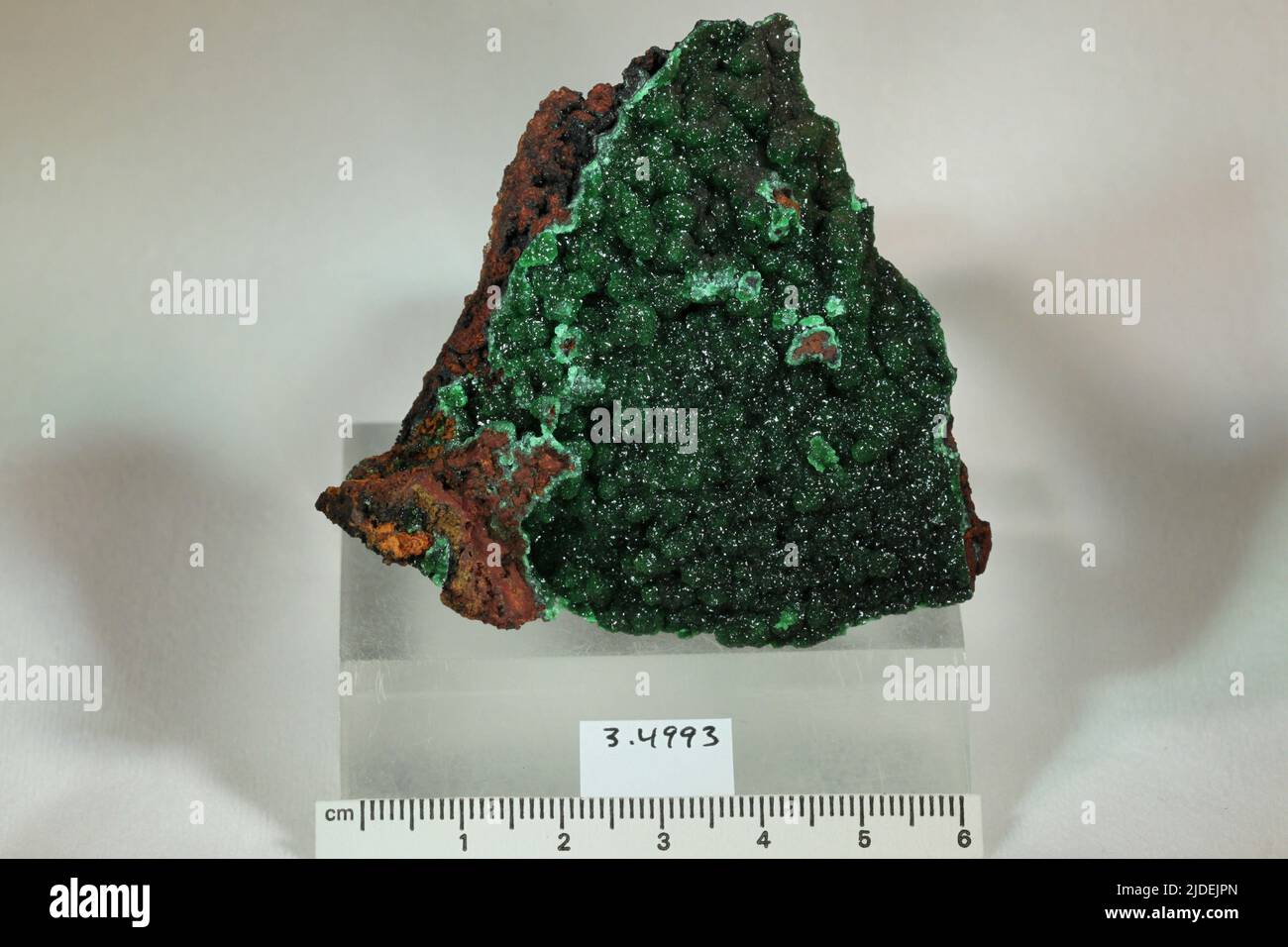 Austinite. minerals. North America; Mexico; Durango; Mapimi; Mina ...