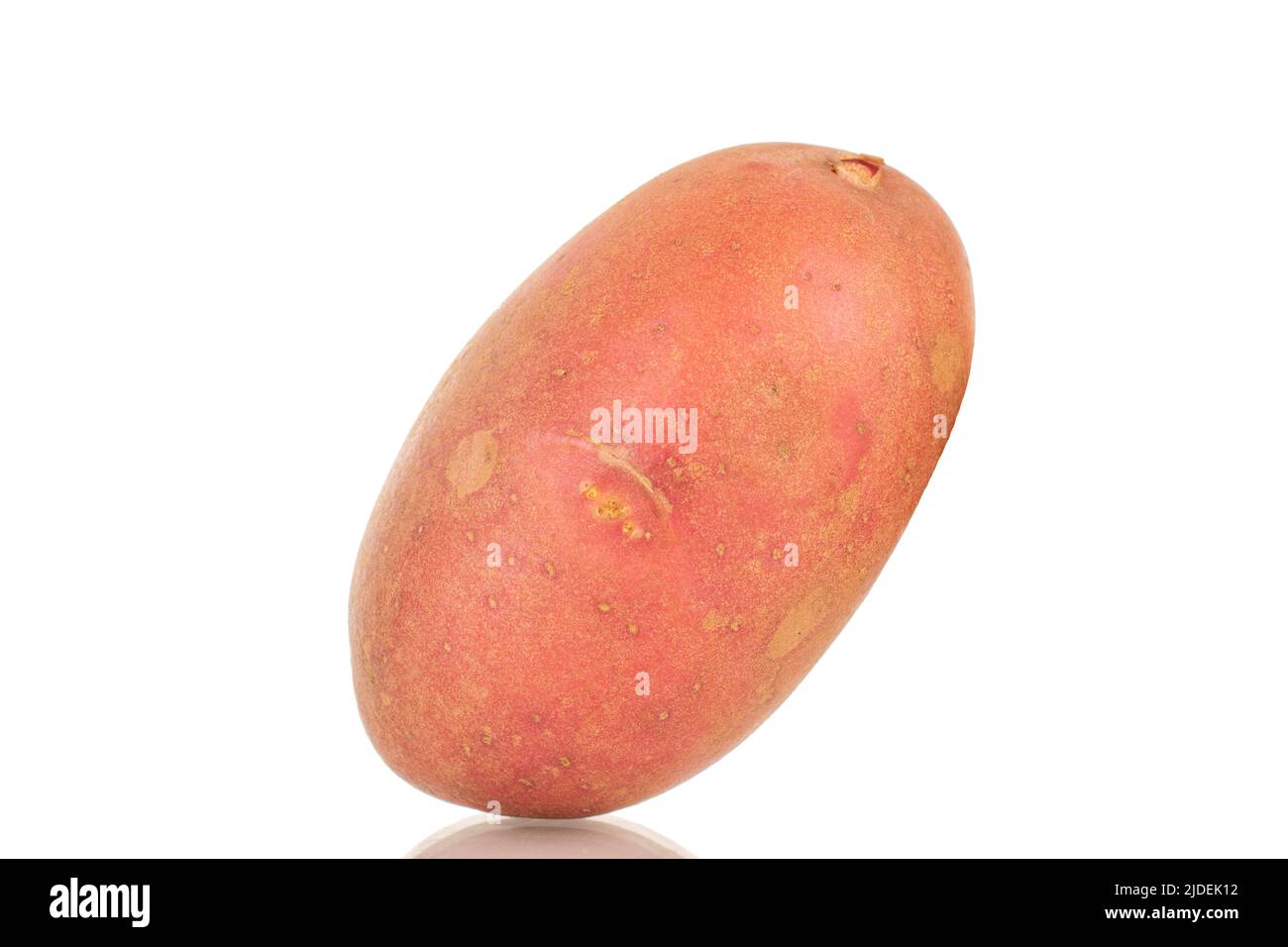 One organic pink potato, close-up, isolated on a white background Stock ...