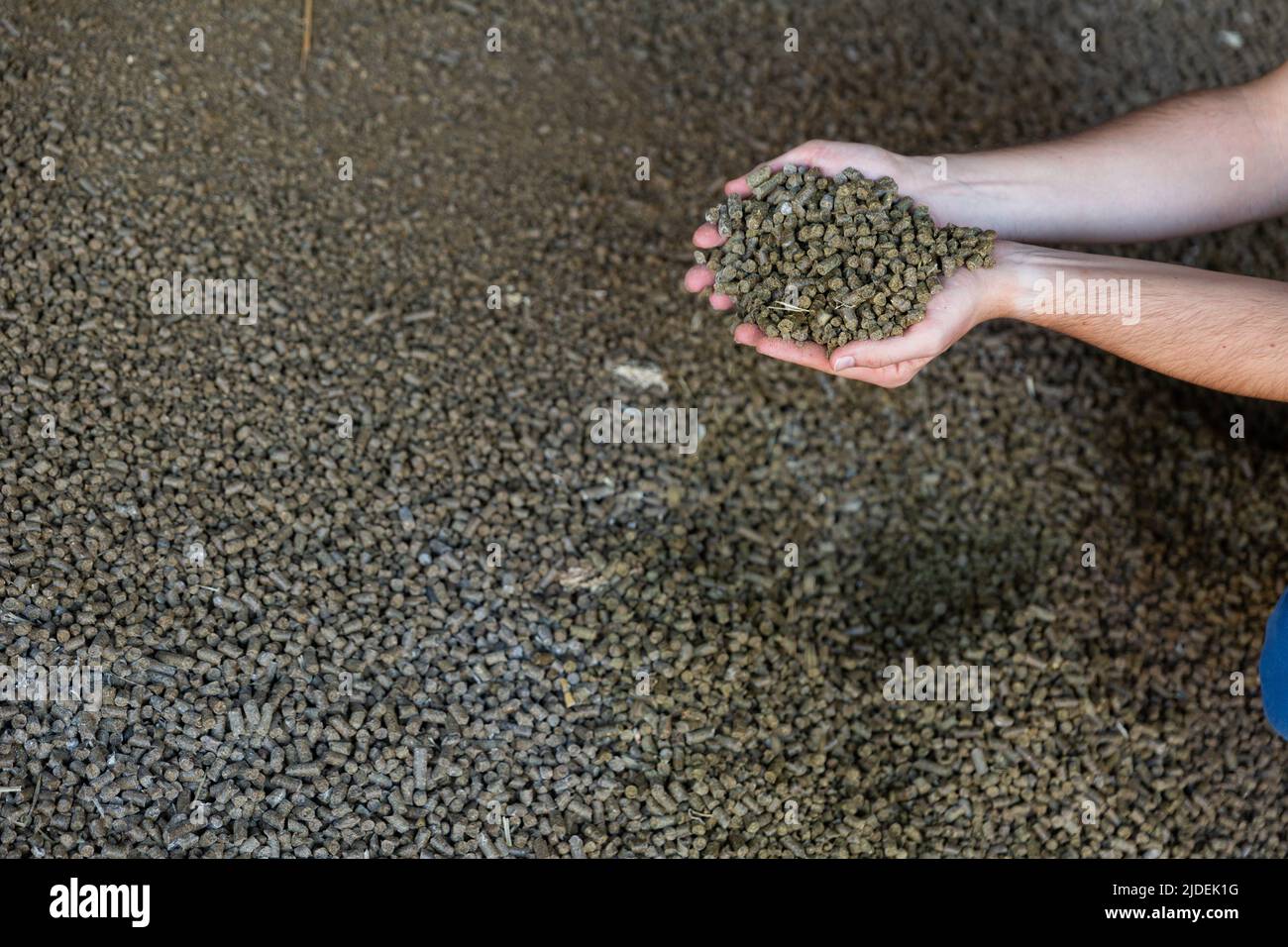 Rapeseed cake hi-res stock photography and images - Alamy