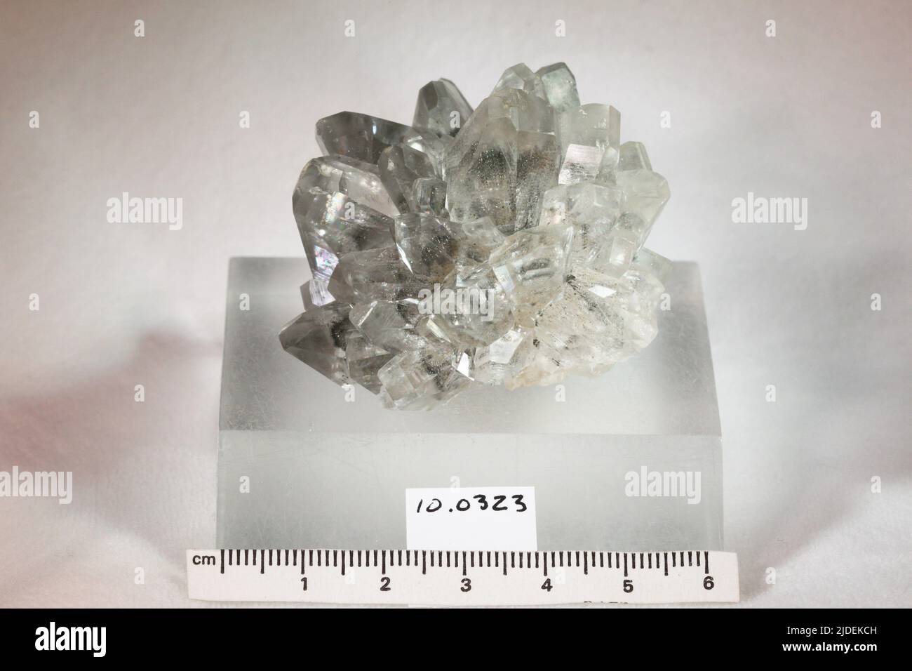 Buffalo mine hi-res stock photography and images - Alamy