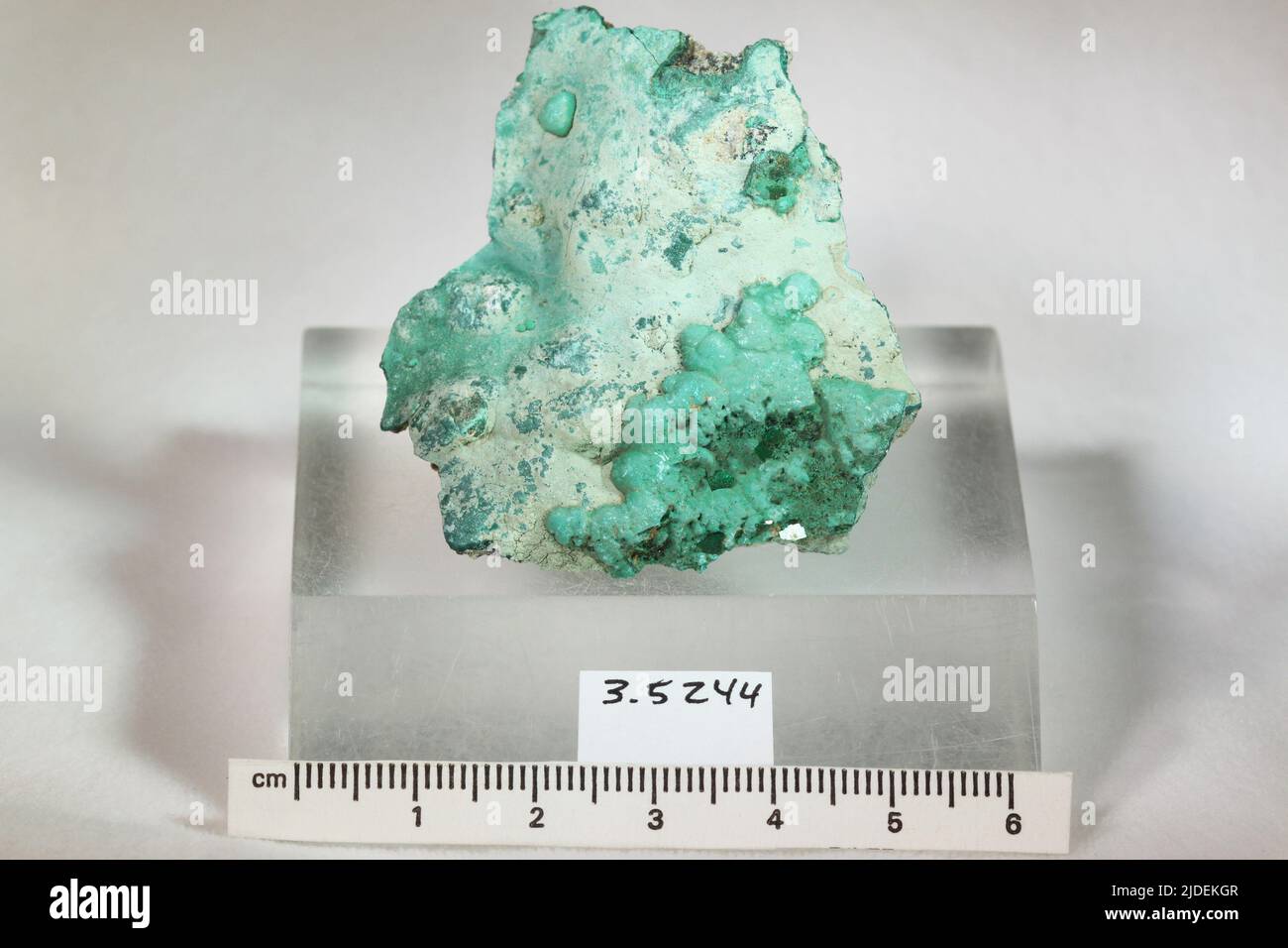 Torbernite. minerals. Africa; Zaire; Katanga District Stock Photo - Alamy