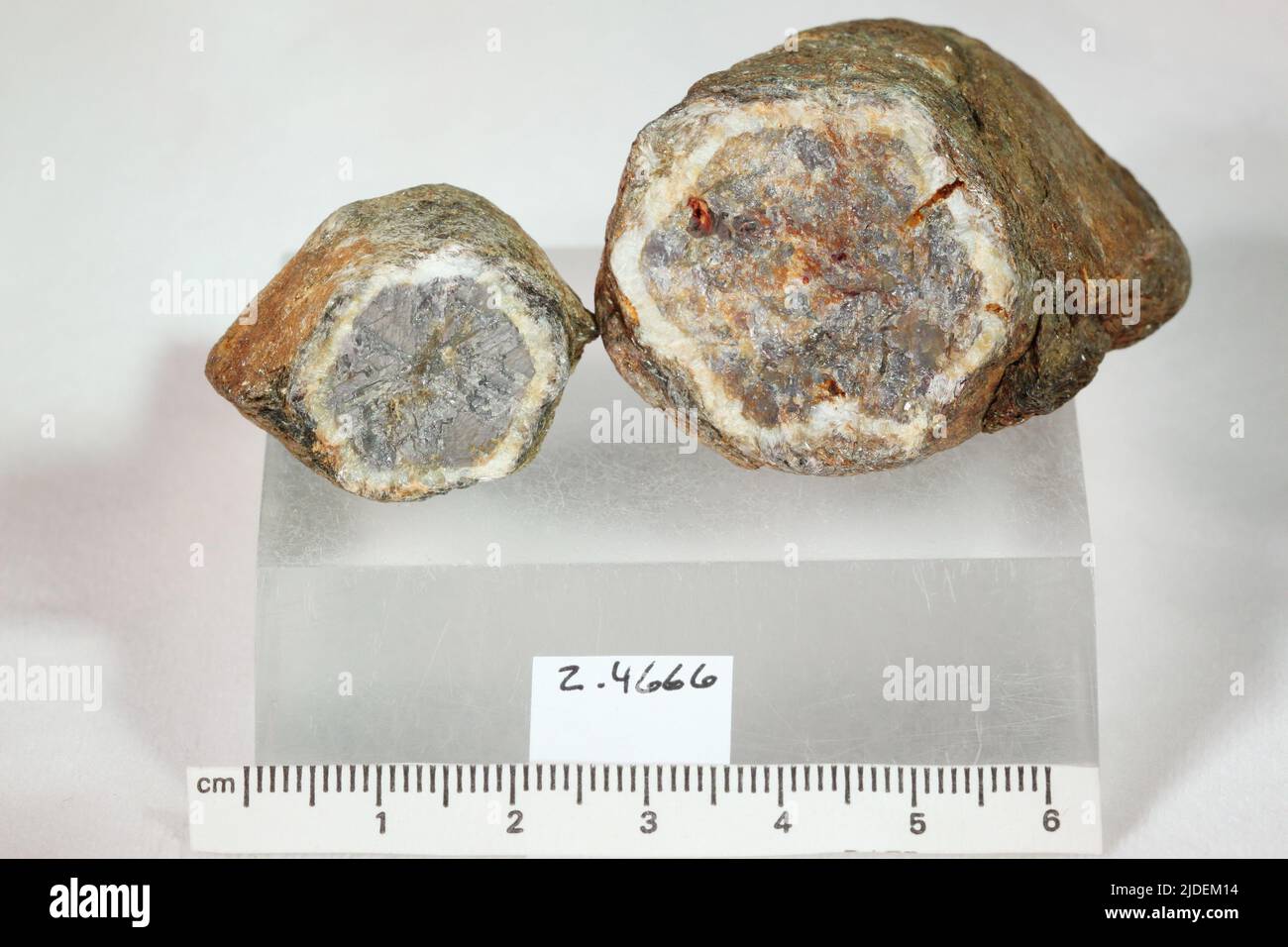 Sillimanite Hand Sample