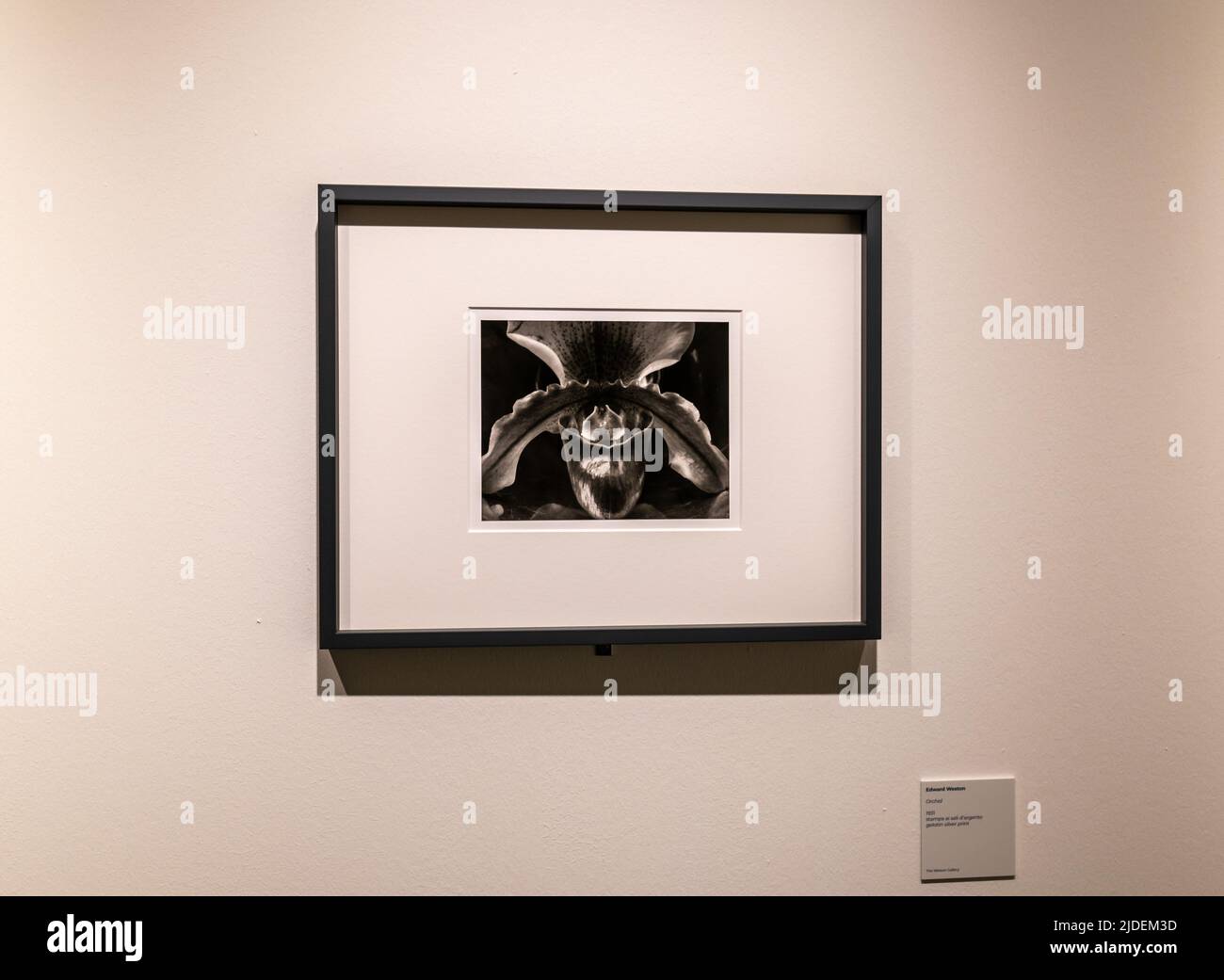 Italy 1931 hi-res stock photography and images - Alamy