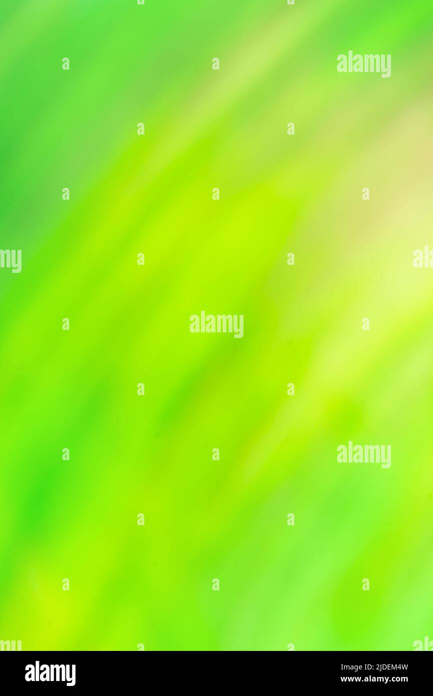 Green blur template design. Green blurred background with bokeh Stock ...