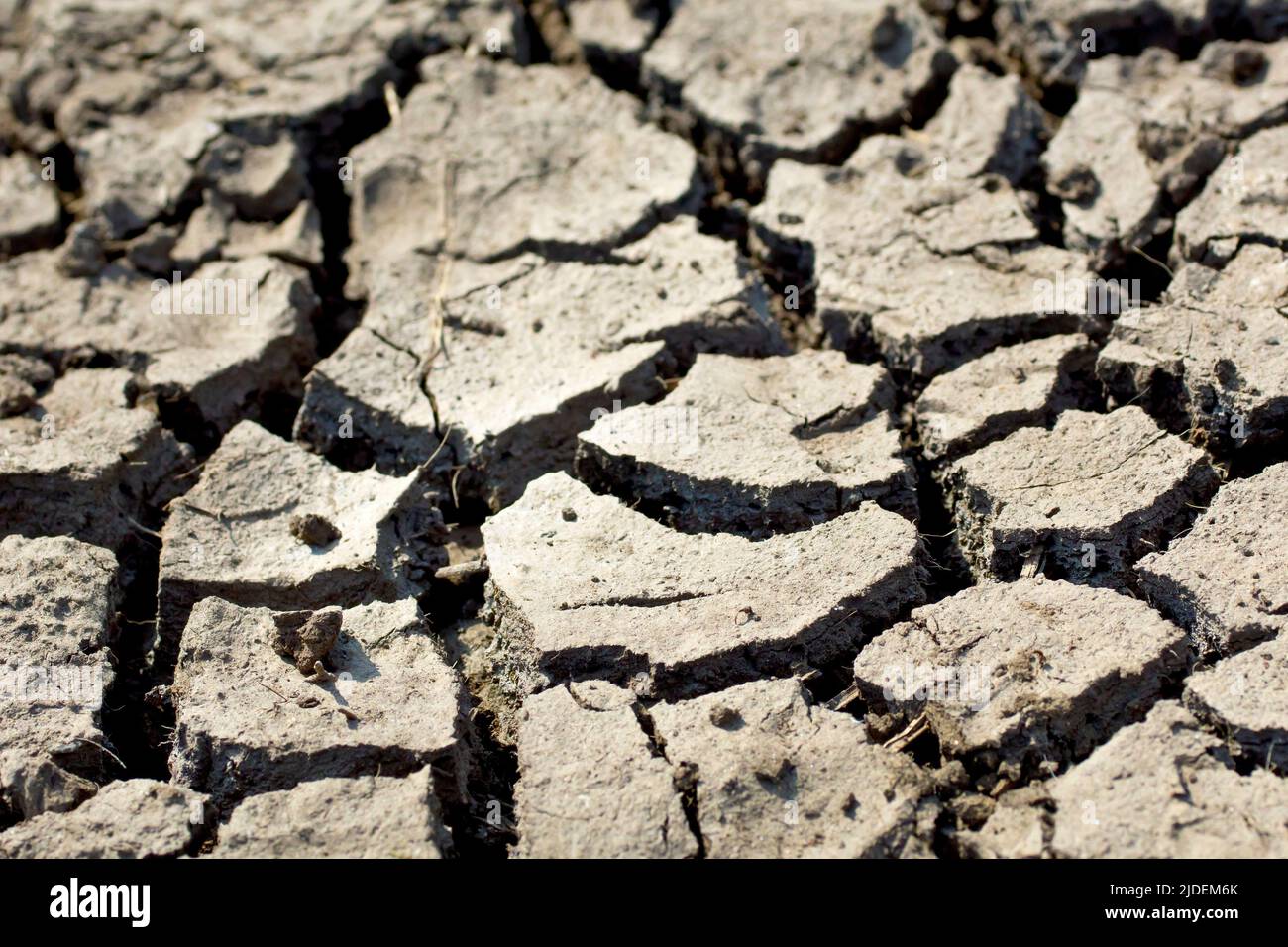 Loam soil hi-res stock photography and images - Alamy