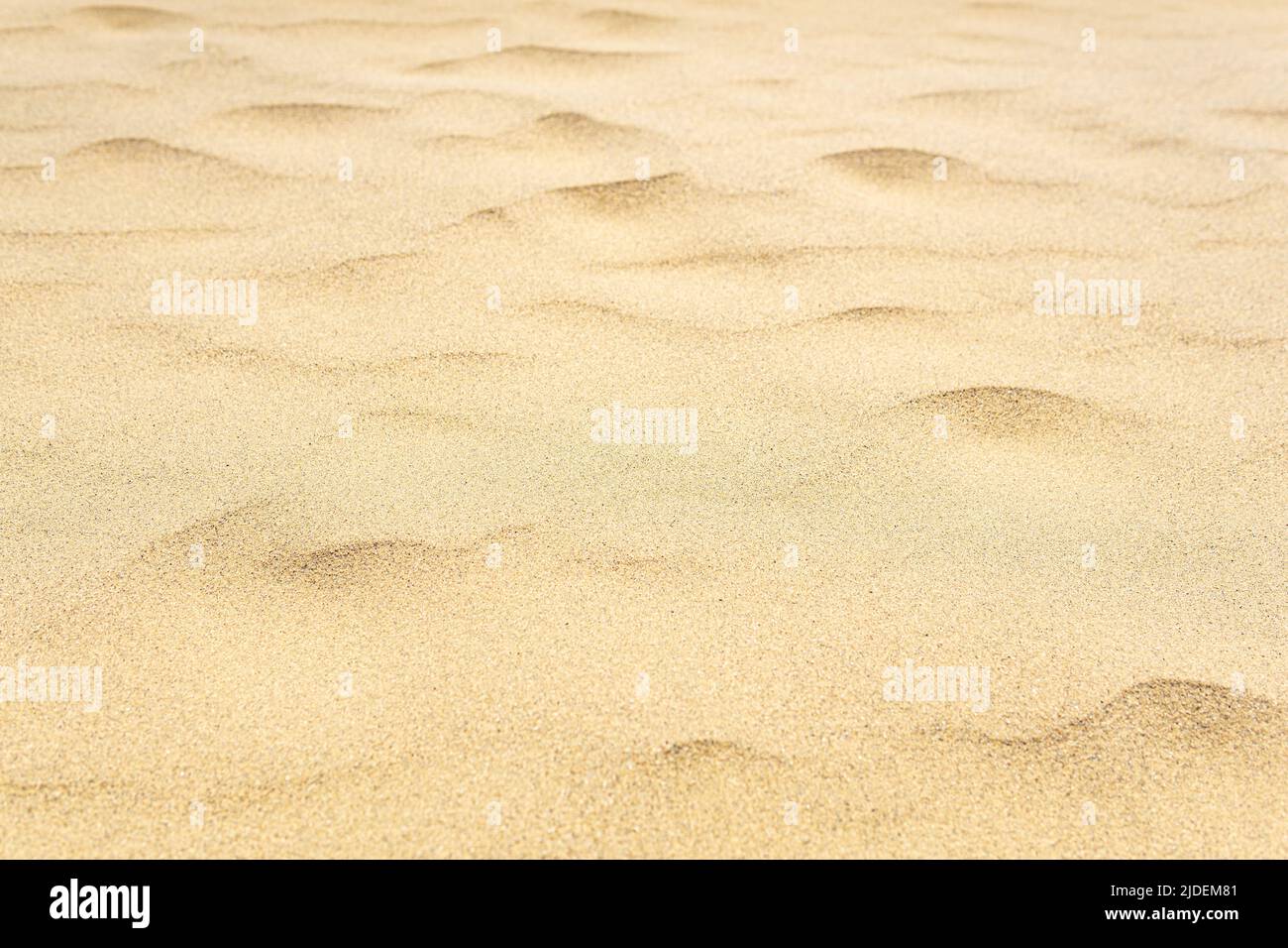 wind ripples on the sandy surface in the desert Stock Photo - Alamy