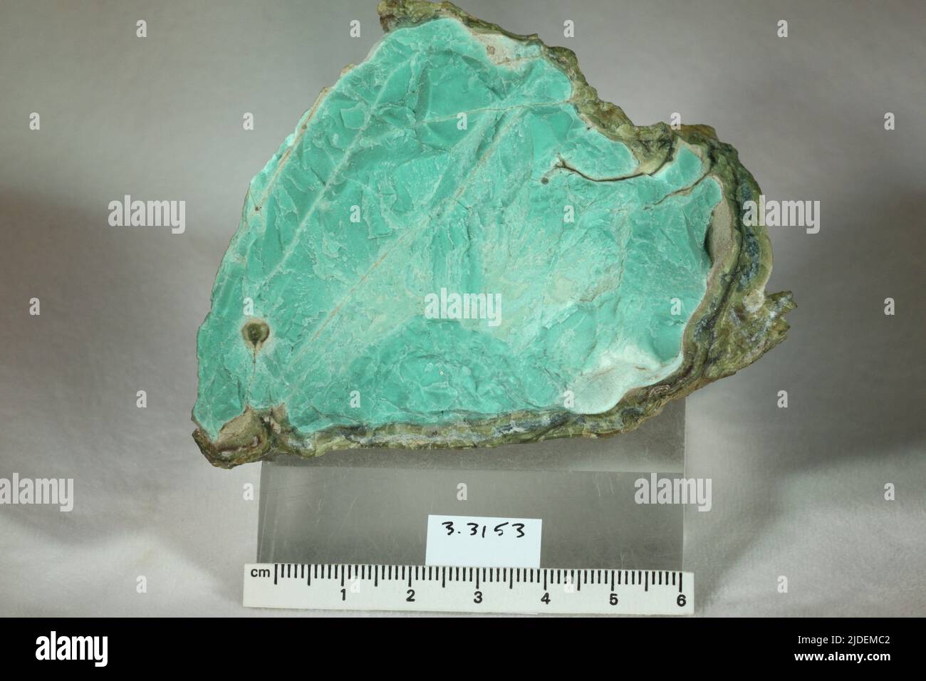 Variscite. minerals. North America; USA; Utah; Utah County Stock Photo ...