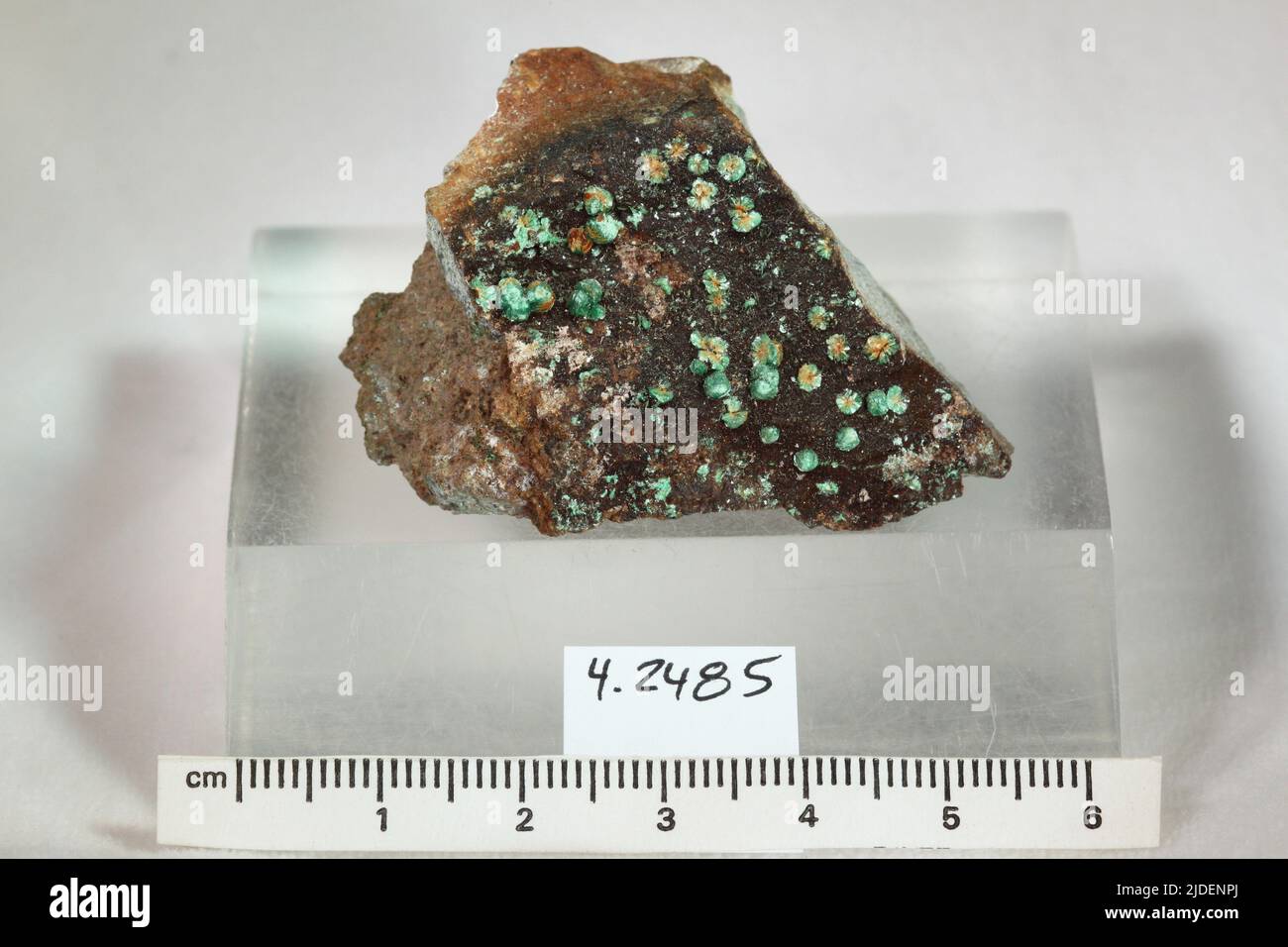 Torbernite. minerals. North America; Mexico; Sonora; Moctezuma Stock ...