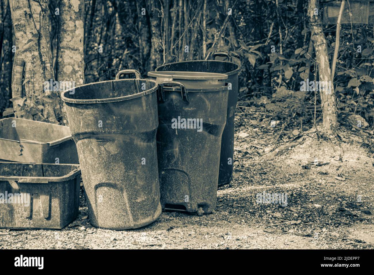 Black and white picture waste garbage cans in the tropical mexican ...