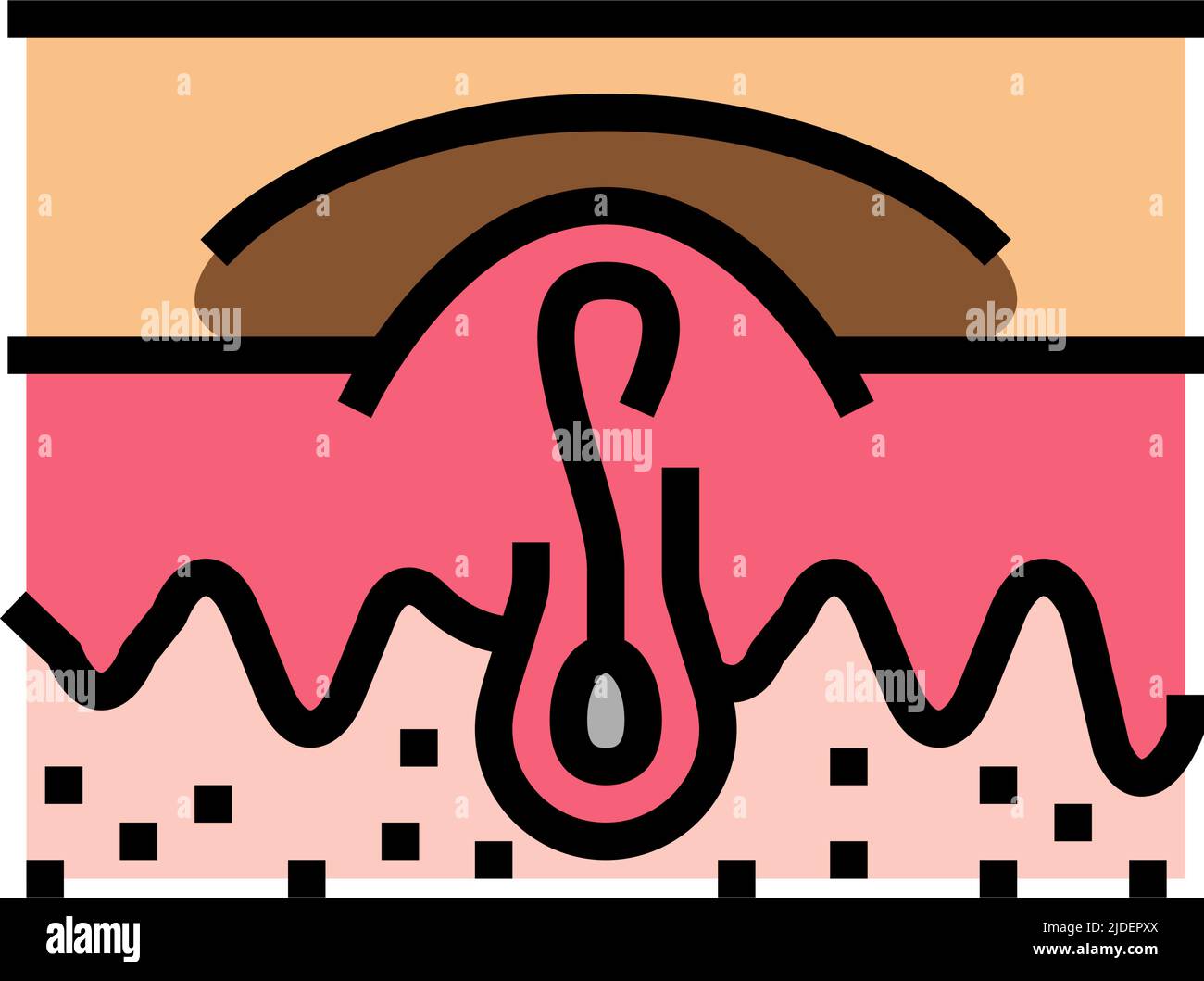 darkened skin color icon vector illustration Stock Vector Image & Art ...