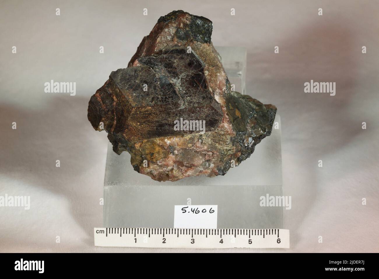 Colton lawrence hi-res stock photography and images - Alamy