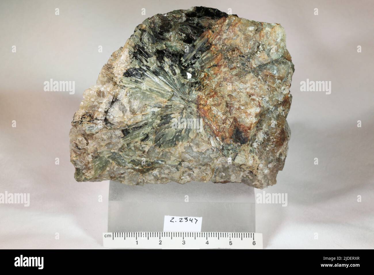 Sillimanite Hand Sample