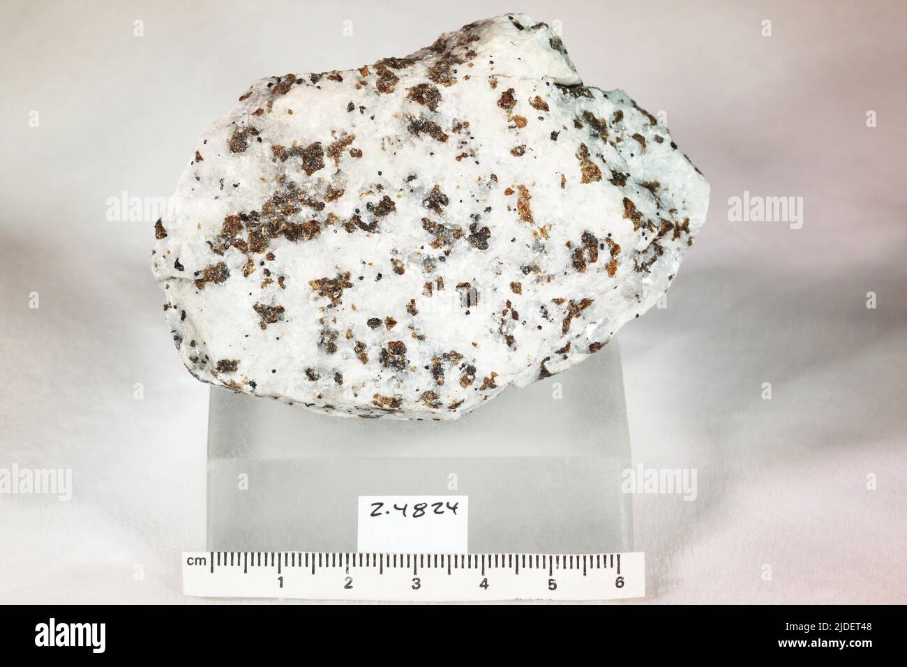 Tilly foster hi-res stock photography and images - Alamy