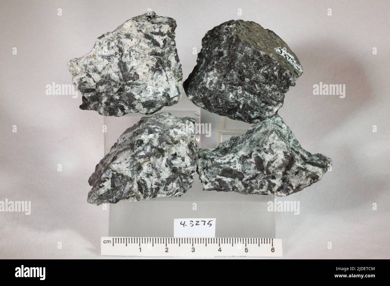 Pigeonite. minerals. North America; USA; Virginia; Loudoun County Stock ...