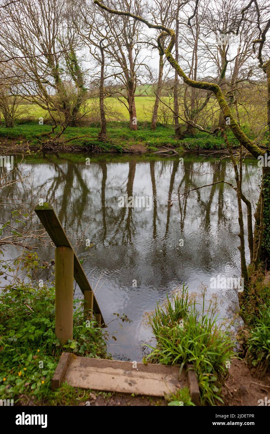 Steps lead down to the river: River Torridge at Great Torrington, Devon ...