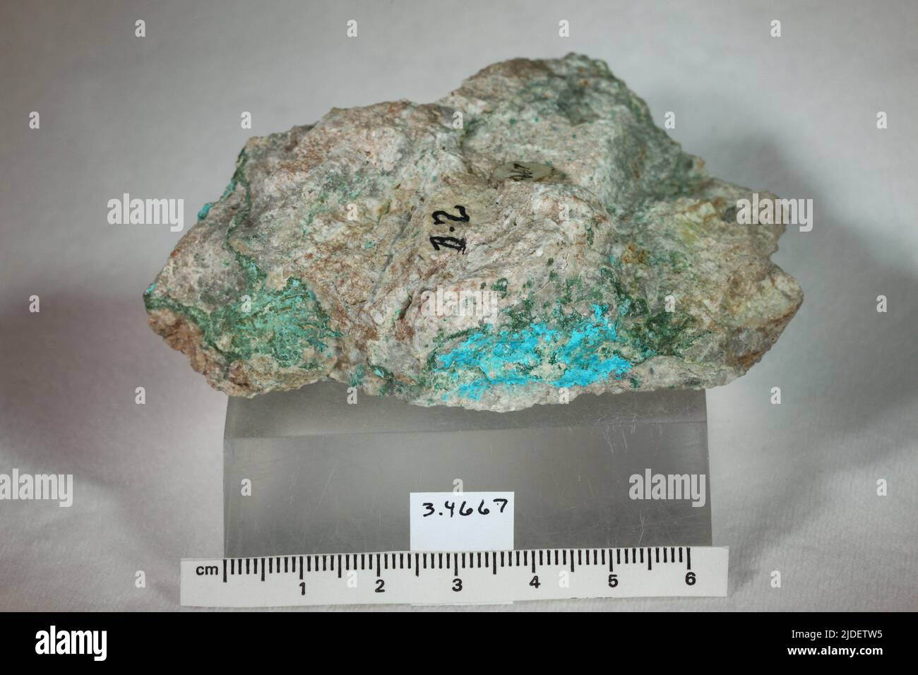 Sampleite. minerals. South America; Chile; Antofagasta Province ...