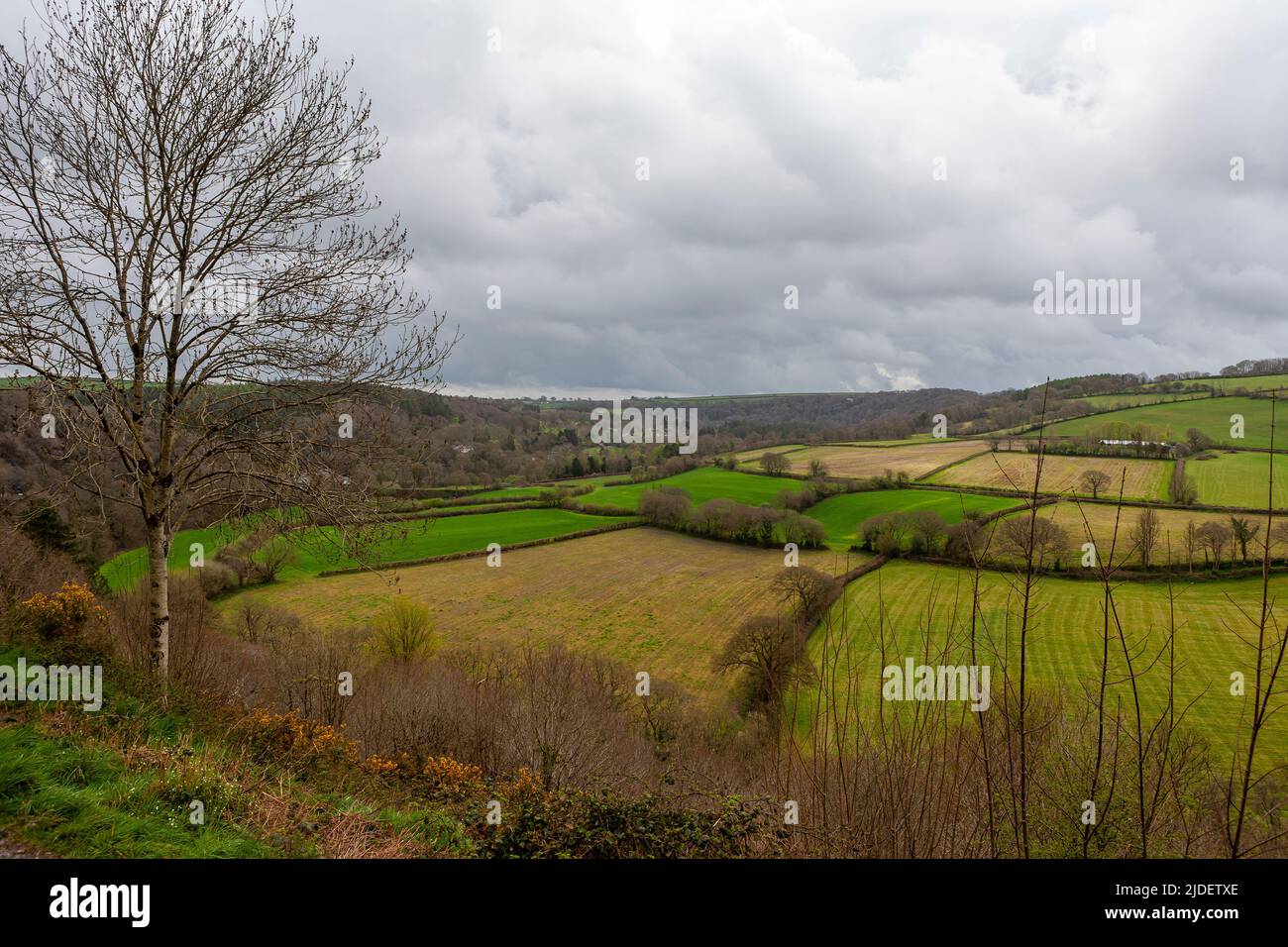 Countryside in the Torridge valley, from Great Torrington Common, Devon ...