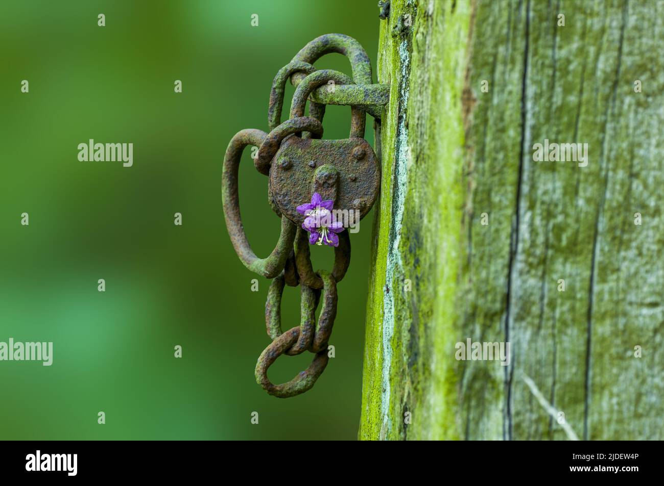 Rusted lock hi-res stock photography and images - Alamy