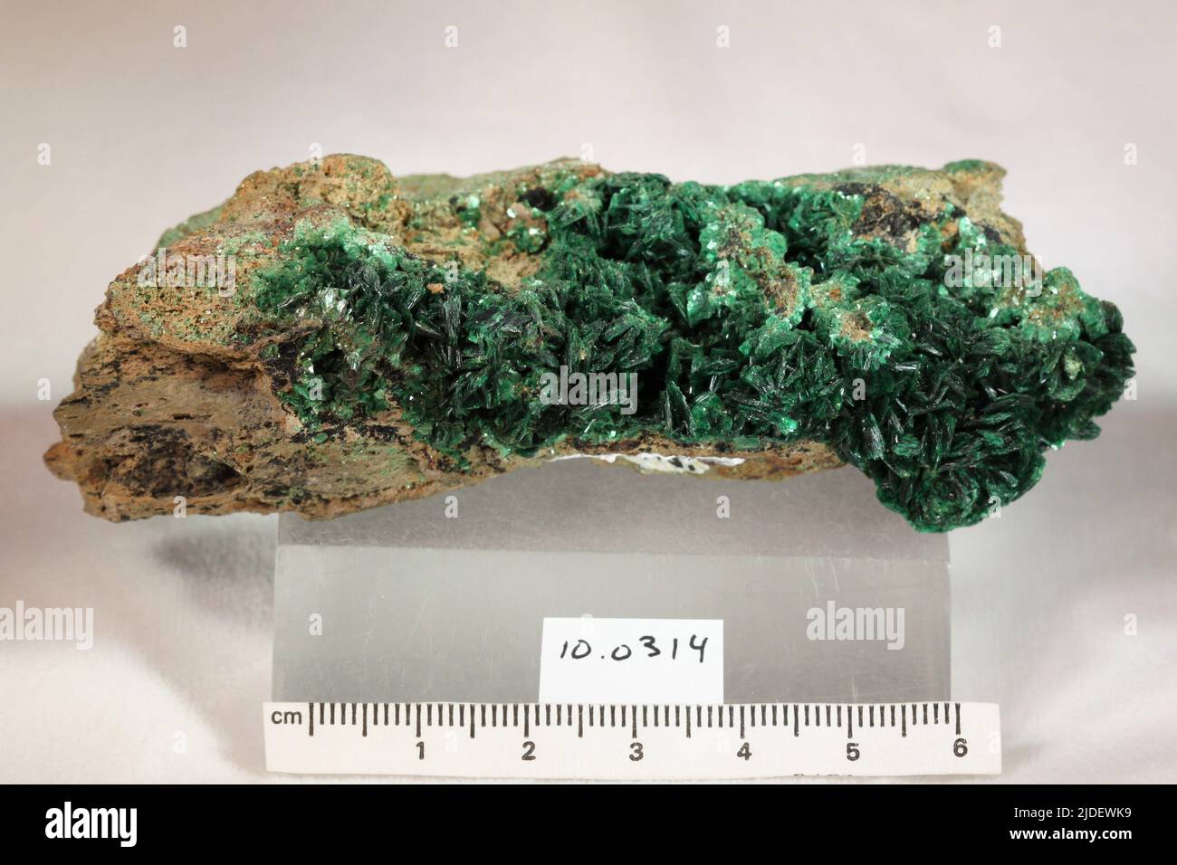 Torbernite. minerals. Africa; Democratic Republic of Congo; Katanga ...