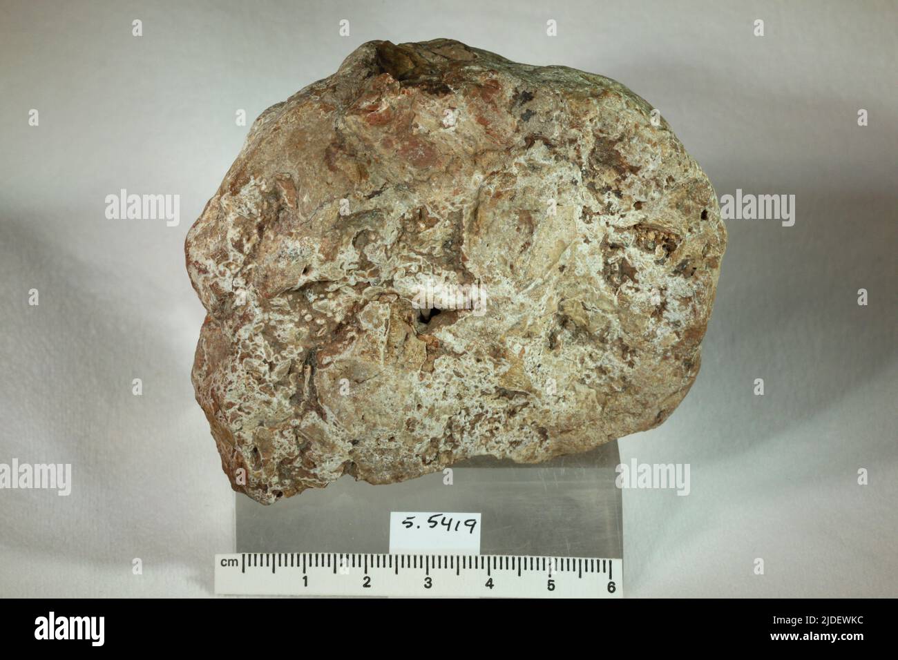 Phosphorite hi-res stock photography and images - Alamy