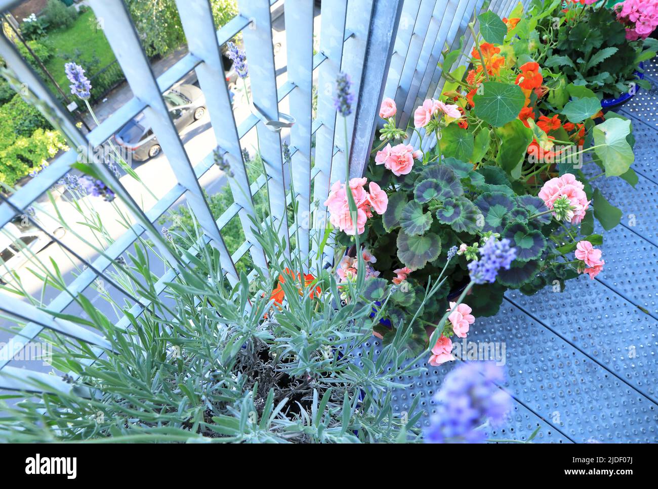 Flower pots balcony london hi-res stock photography and images - Alamy