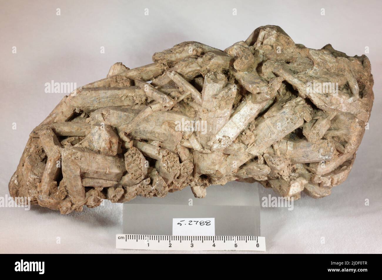 Pyroxene minerals hi-res stock photography and images - Alamy