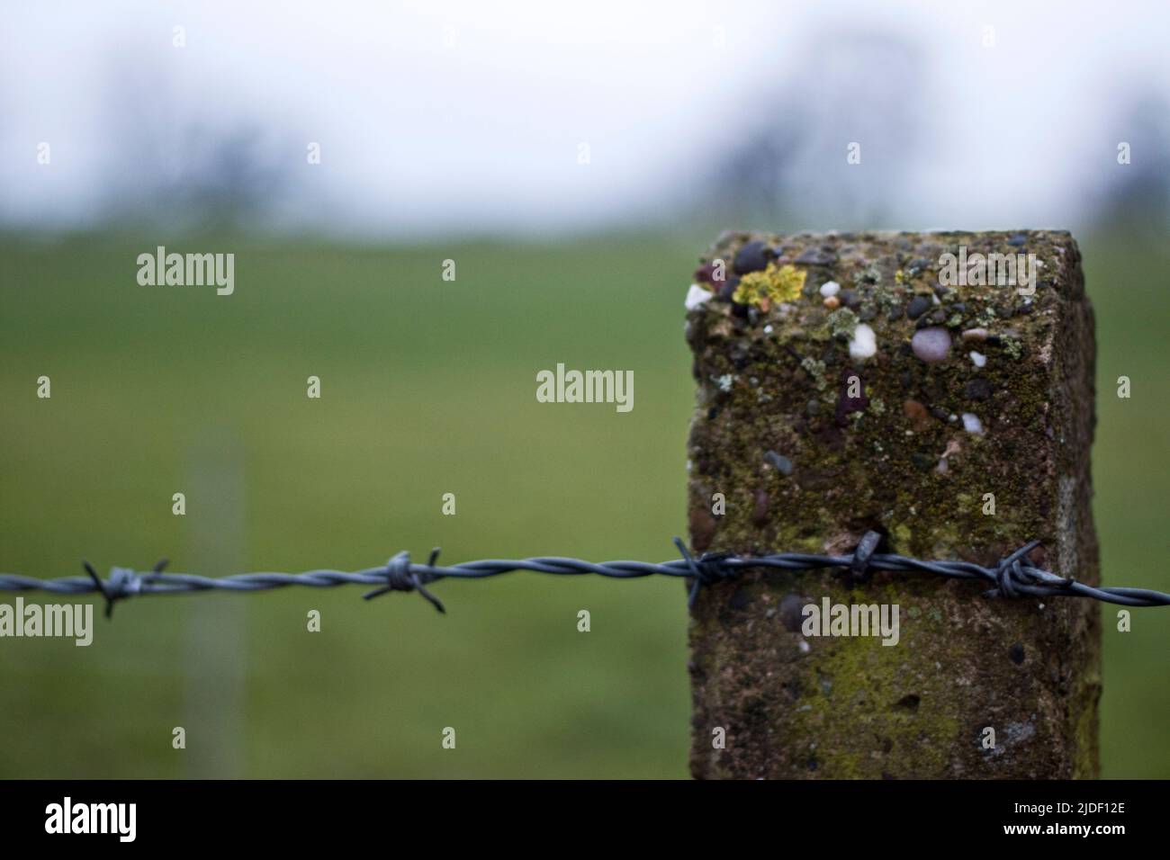 Concrete fence post barbed wire hi-res stock photography and images - Alamy
