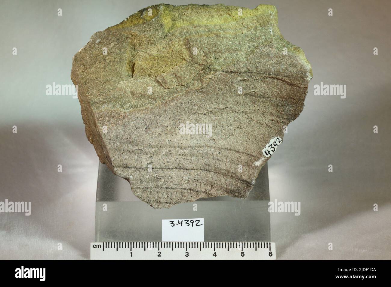 Rare gypsum formation hi-res stock photography and images - Alamy