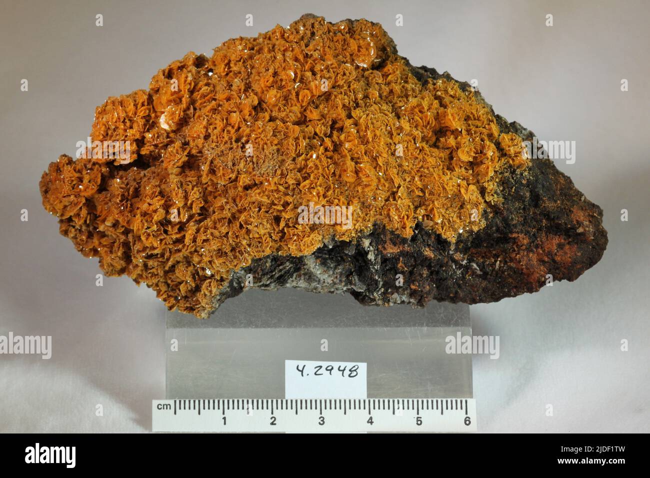 Wulfenite. minerals. North America; USA; California; Inyo County ...
