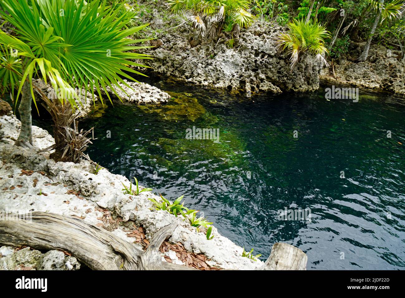 cenote los peces in the bay of pigs on cuba Stock Photo - Alamy