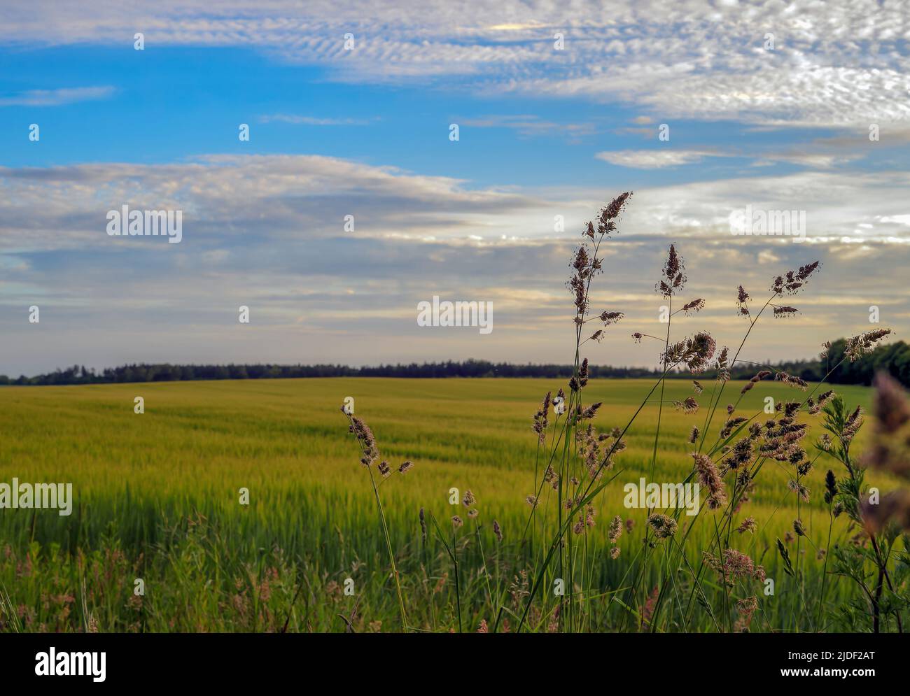 Green field poland landscape scenery hi-res stock photography and ...