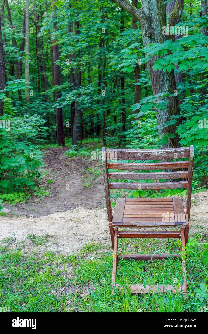 Wooden chair facing the forest in Poland Stock Photo - Alamy
