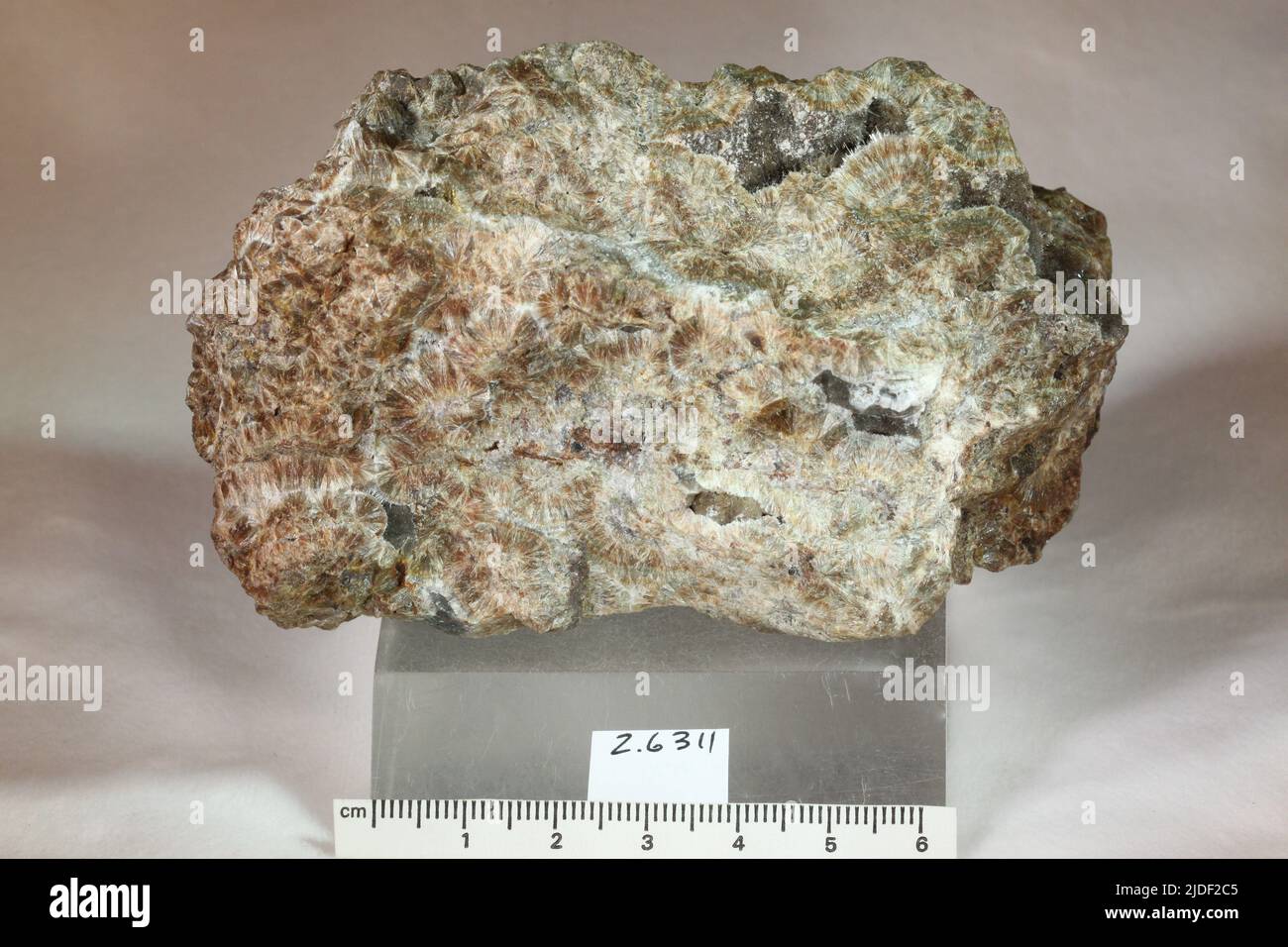 Willemite. minerals. Africa; Zimbabwe; Lusaka Stock Photo - Alamy