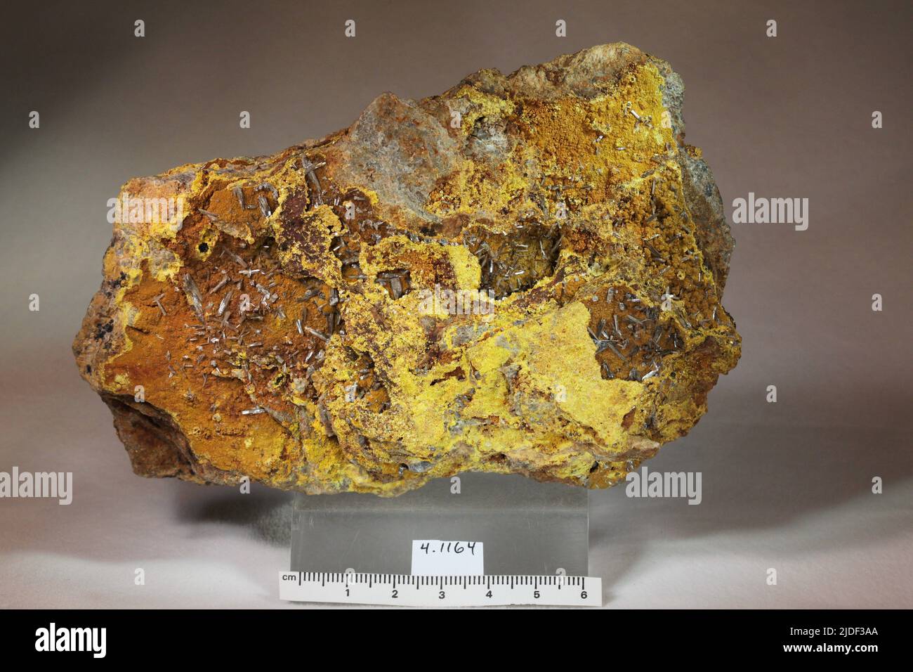 Mounana hi-res stock photography and images - Alamy