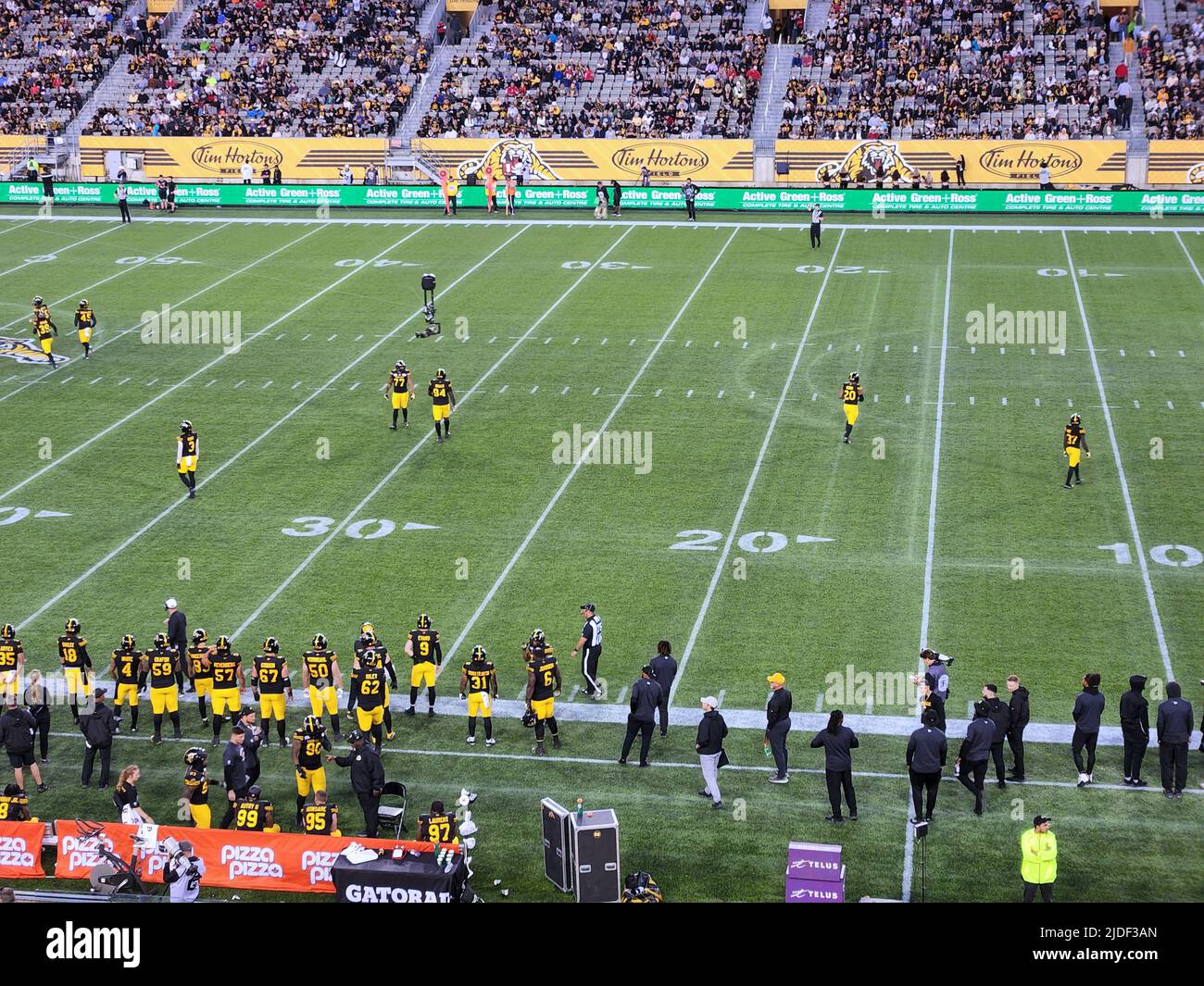 Tim Hortons Field Hamilton Tiger Cats Stock Photo - Alamy