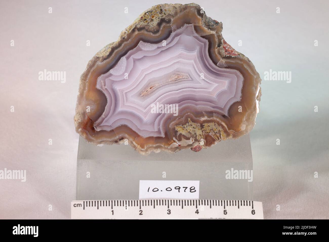 Quartz. minerals. Mexico; Chihuahua; Rancho Agua Nueva Stock Photo - Alamy