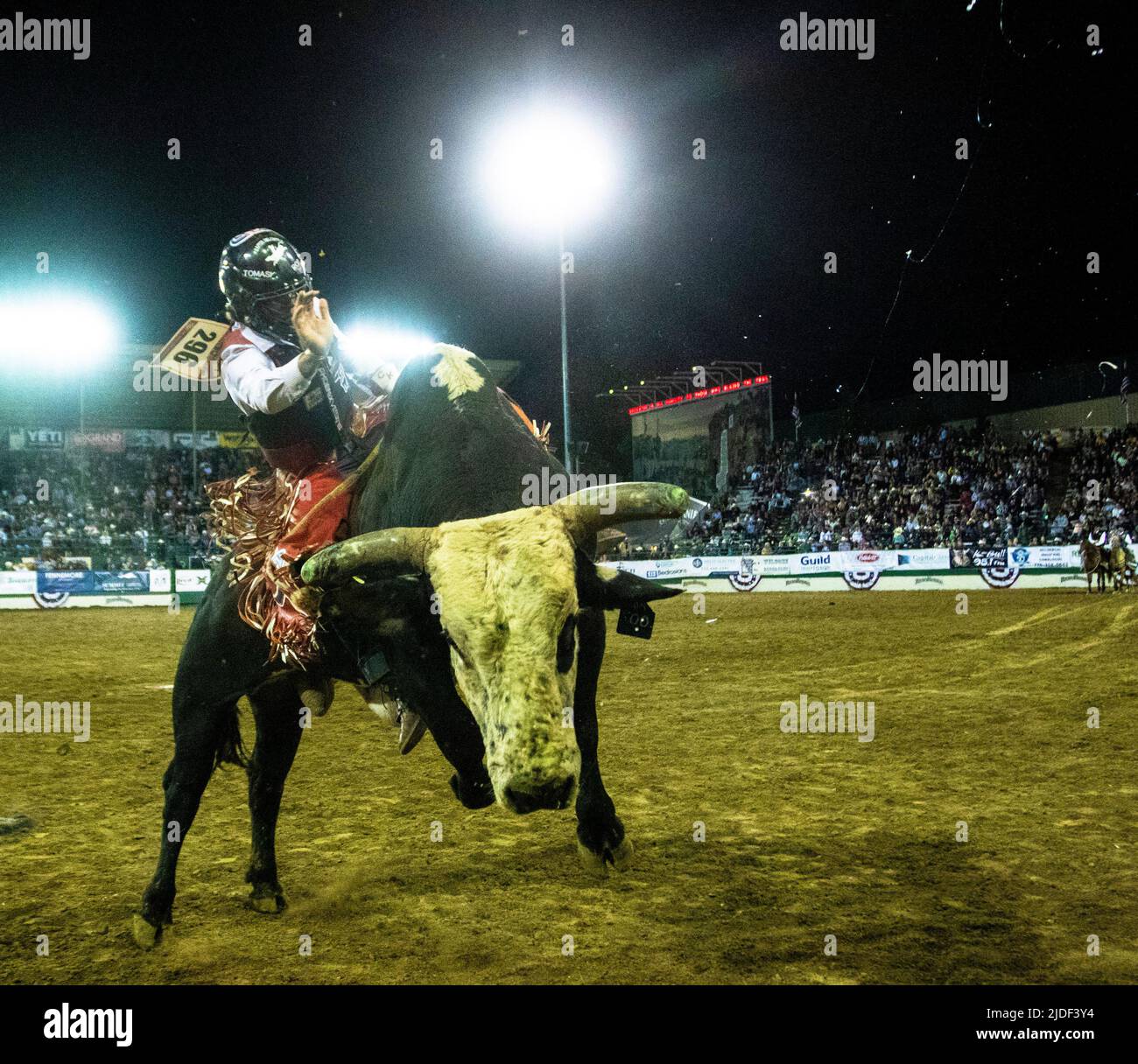 Colton kelly hi-res stock photography and images - Alamy