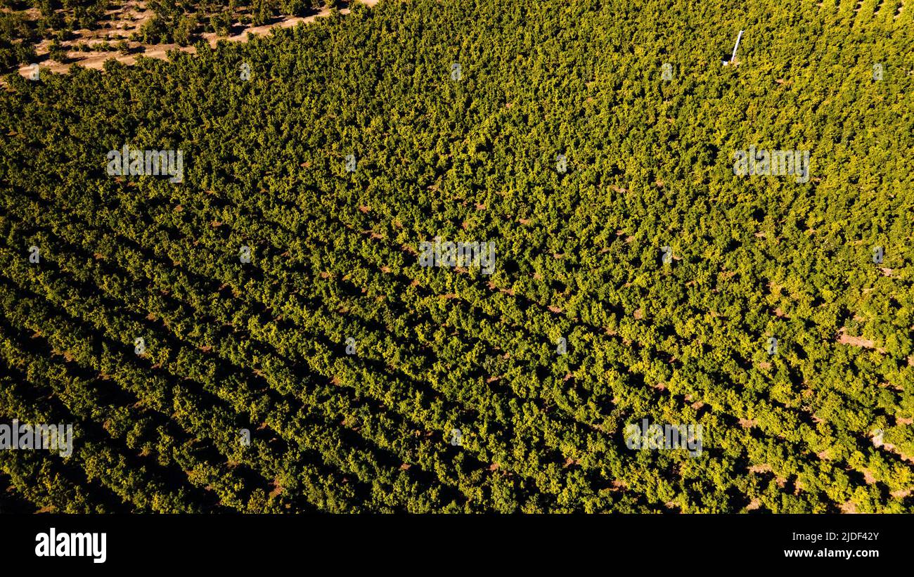Aerial agricultural farm land california hi-res stock photography and ...