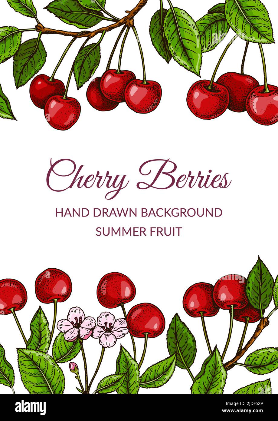 Cherry botanical Stock Vector Images - Alamy