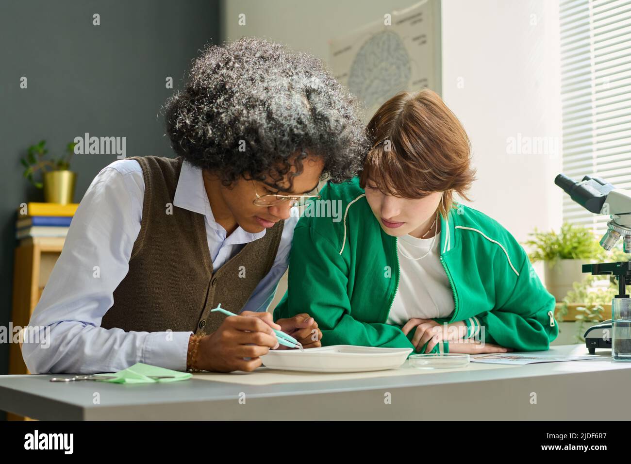 Two teenage intercultural students of highschool doing dissection of ...