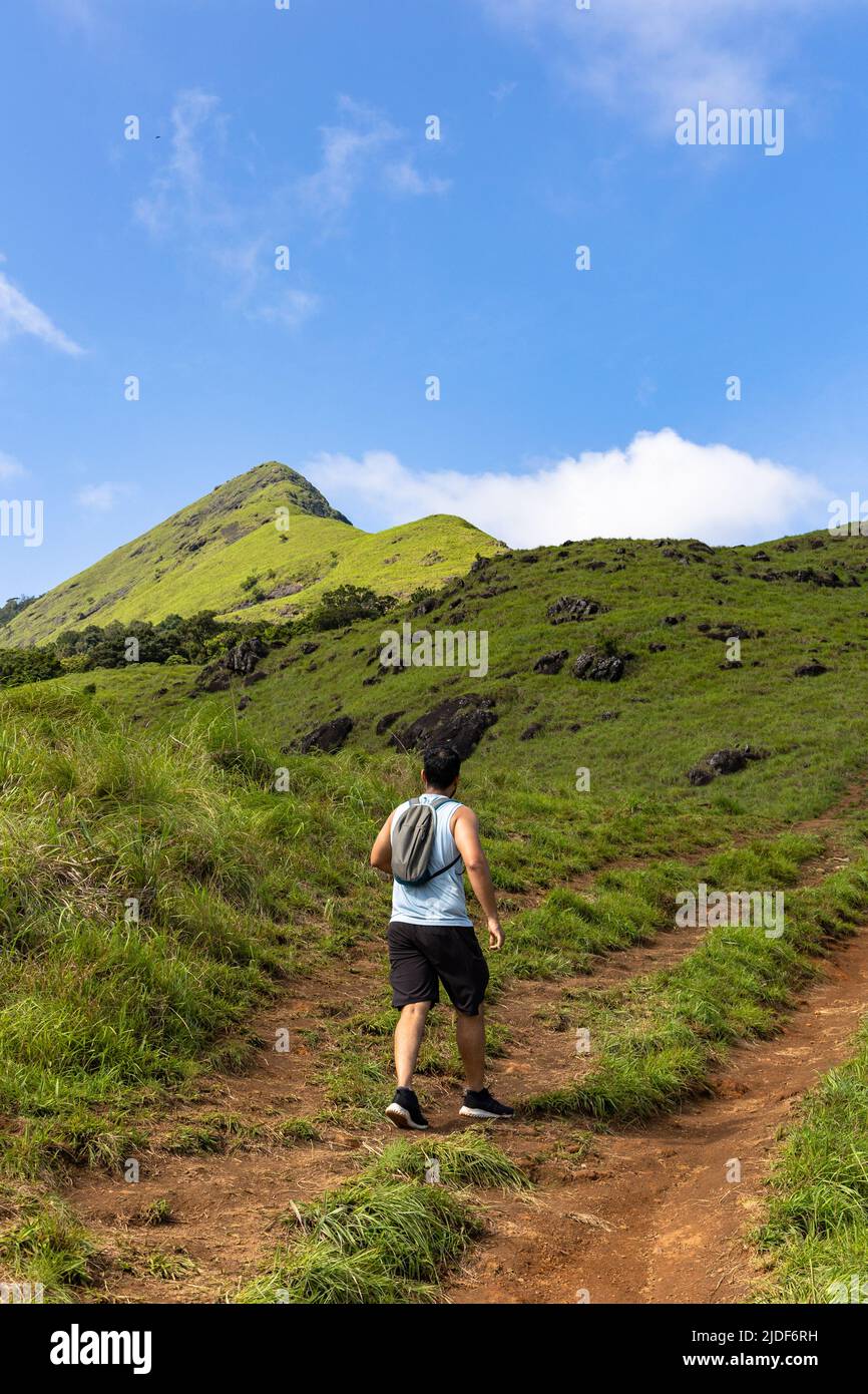 A trekker on the trail to Chembra Peak in Wayanad, Kerala Stock Photo ...