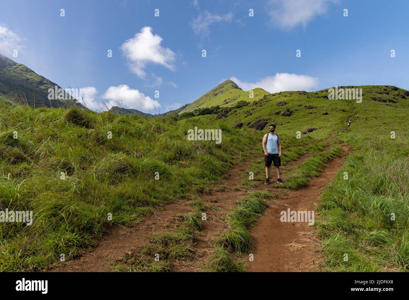A trekker on the trail to Chembra Peak in Wayanad, Kerala Stock Photo ...