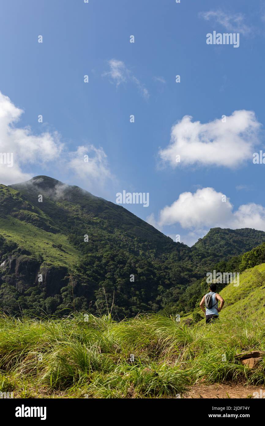 A trekker on the trail to Chembra Peak in Wayanad, Kerala Stock Photo ...