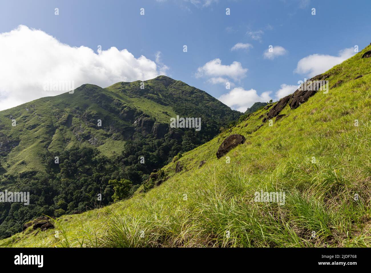 View of the mountainous landscape as seen while trekking to Chembra ...