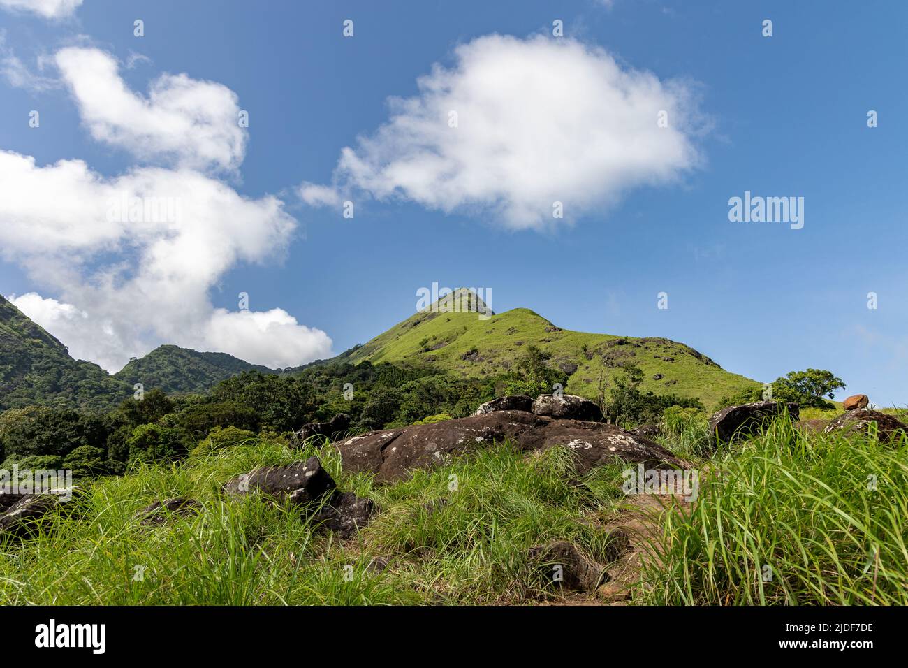 View of the Chembra Peak from top in Wayanad, Kerala Stock Photo - Alamy