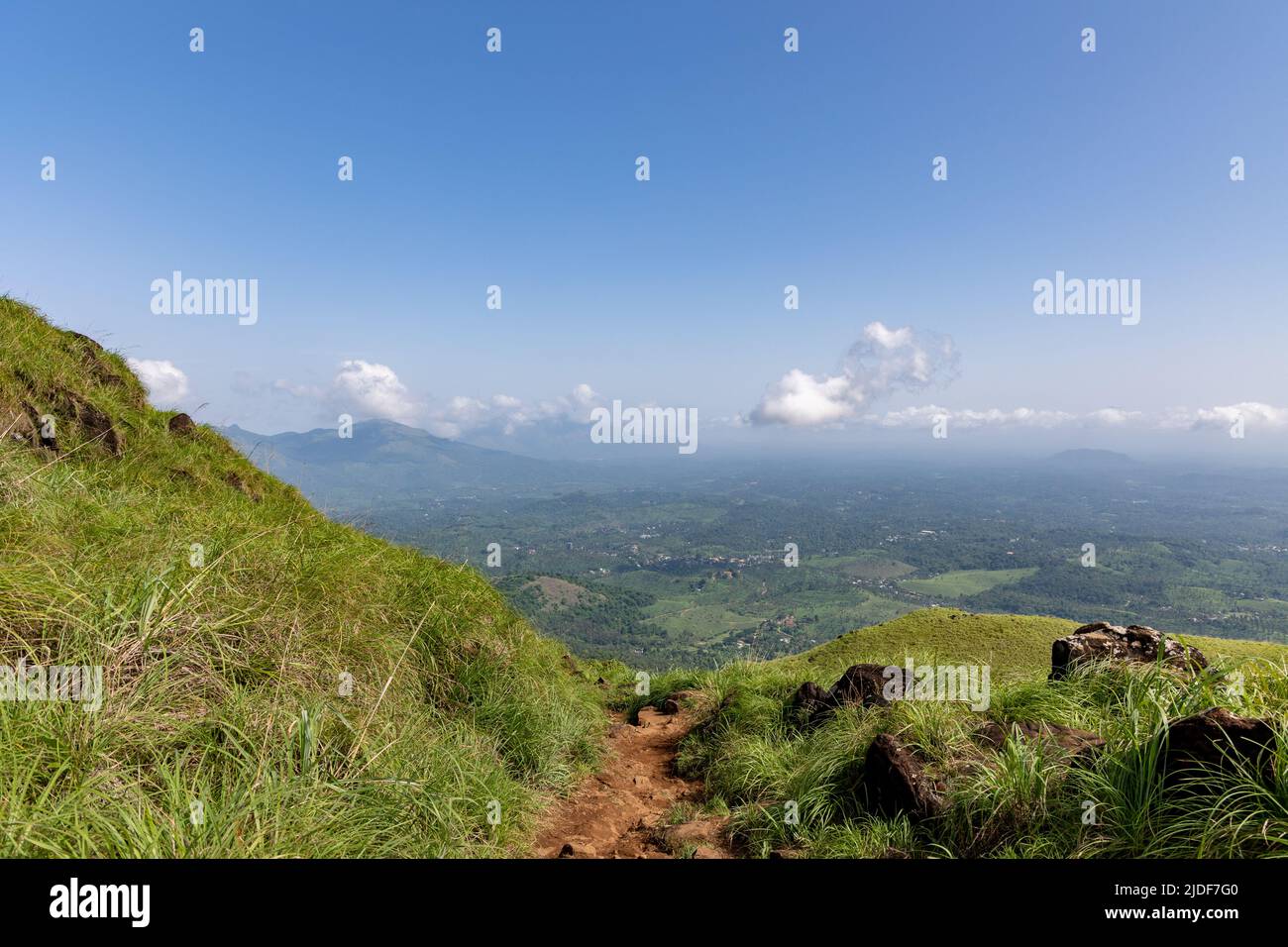 The trail to Chembra Peak, overlooking the valley in Wayanad, Kerala ...